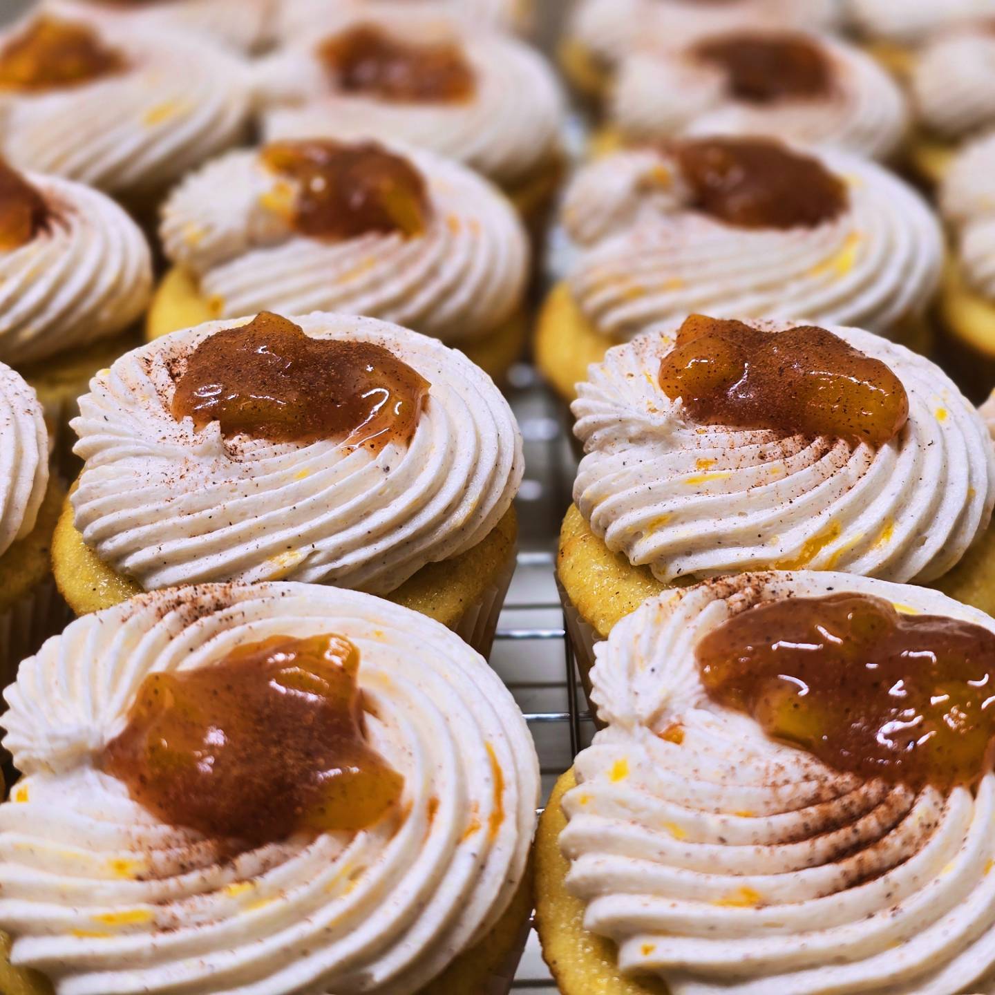 Enchanted Cupcakes – Wicked Whisk Cake Co.